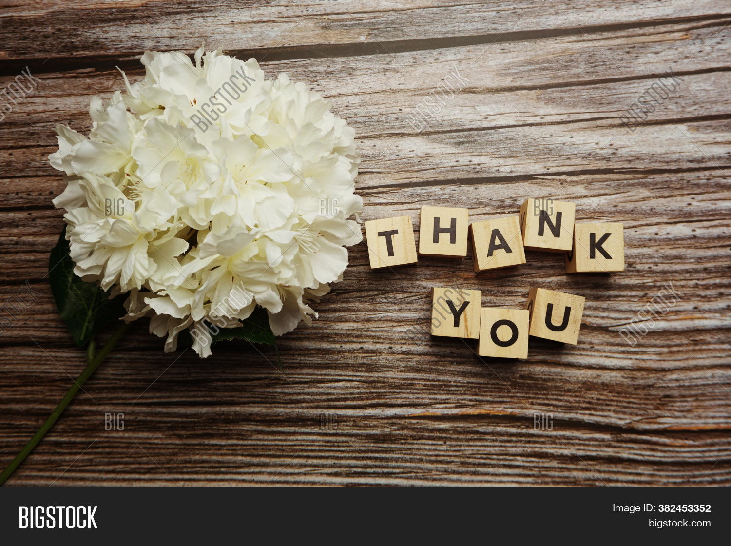 Thank You Alphabet Image & Photo (Free Trial) | Bigstock