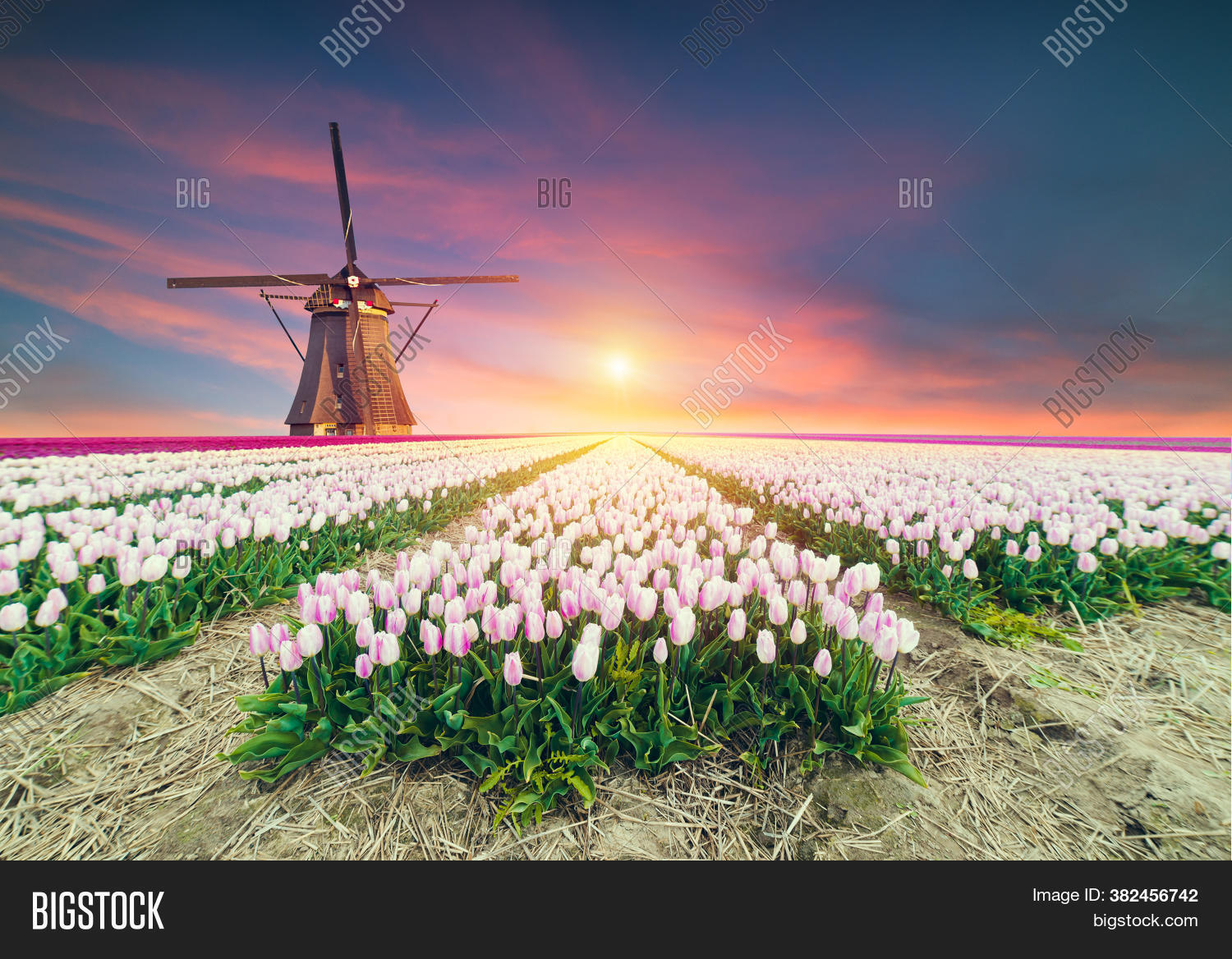 Traditional Image & Photo (Free Trial) | Bigstock