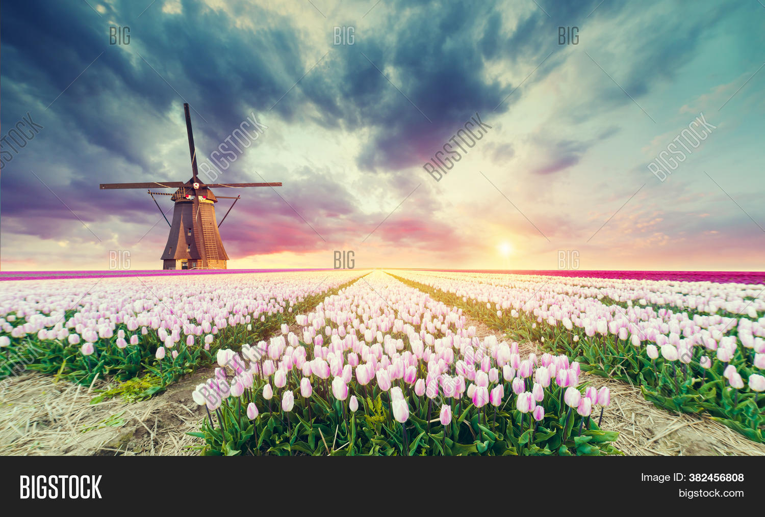 Traditional Image & Photo (Free Trial) | Bigstock