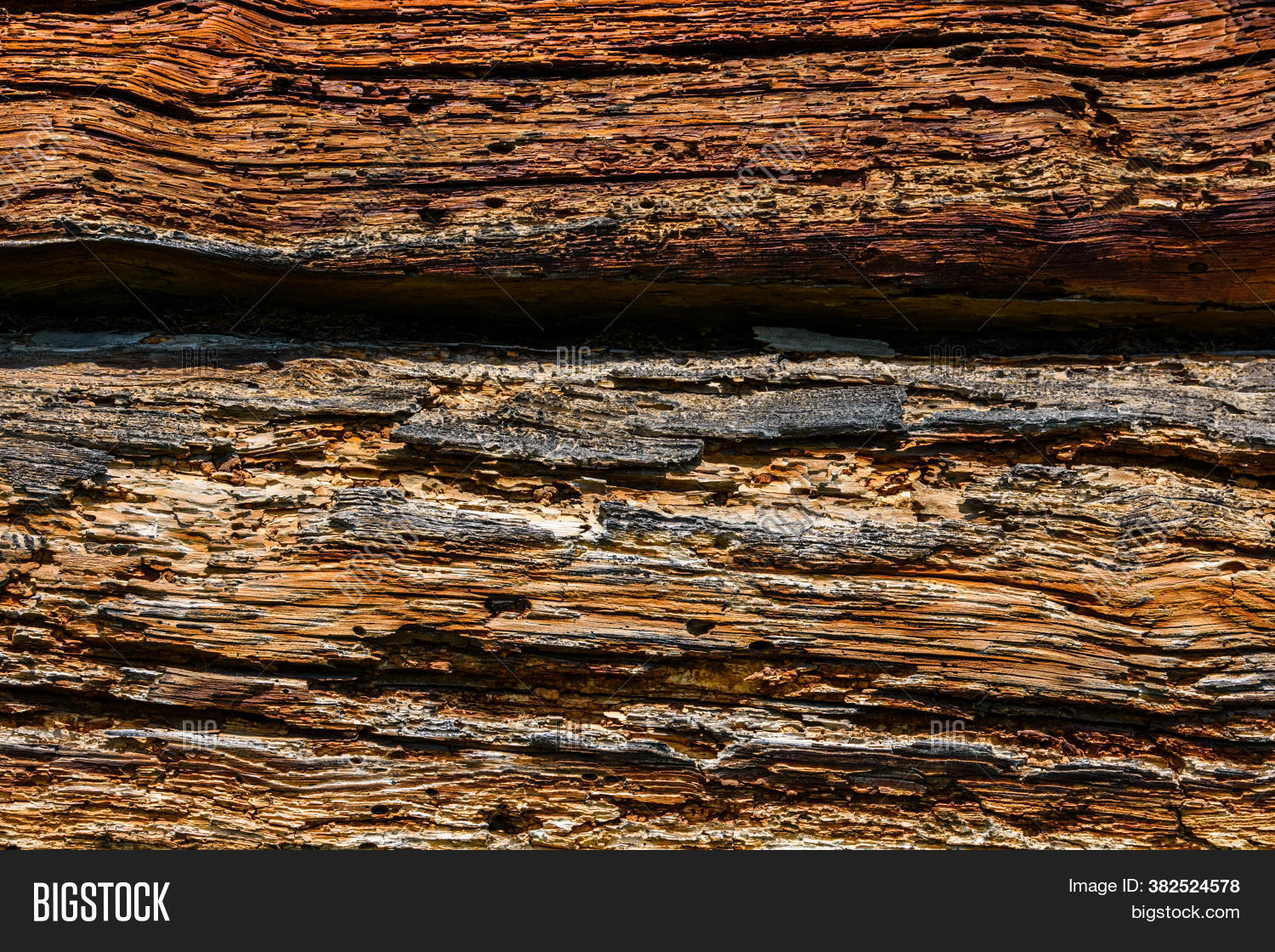 Texture Logs Damaged Image & Photo (Free Trial) | Bigstock