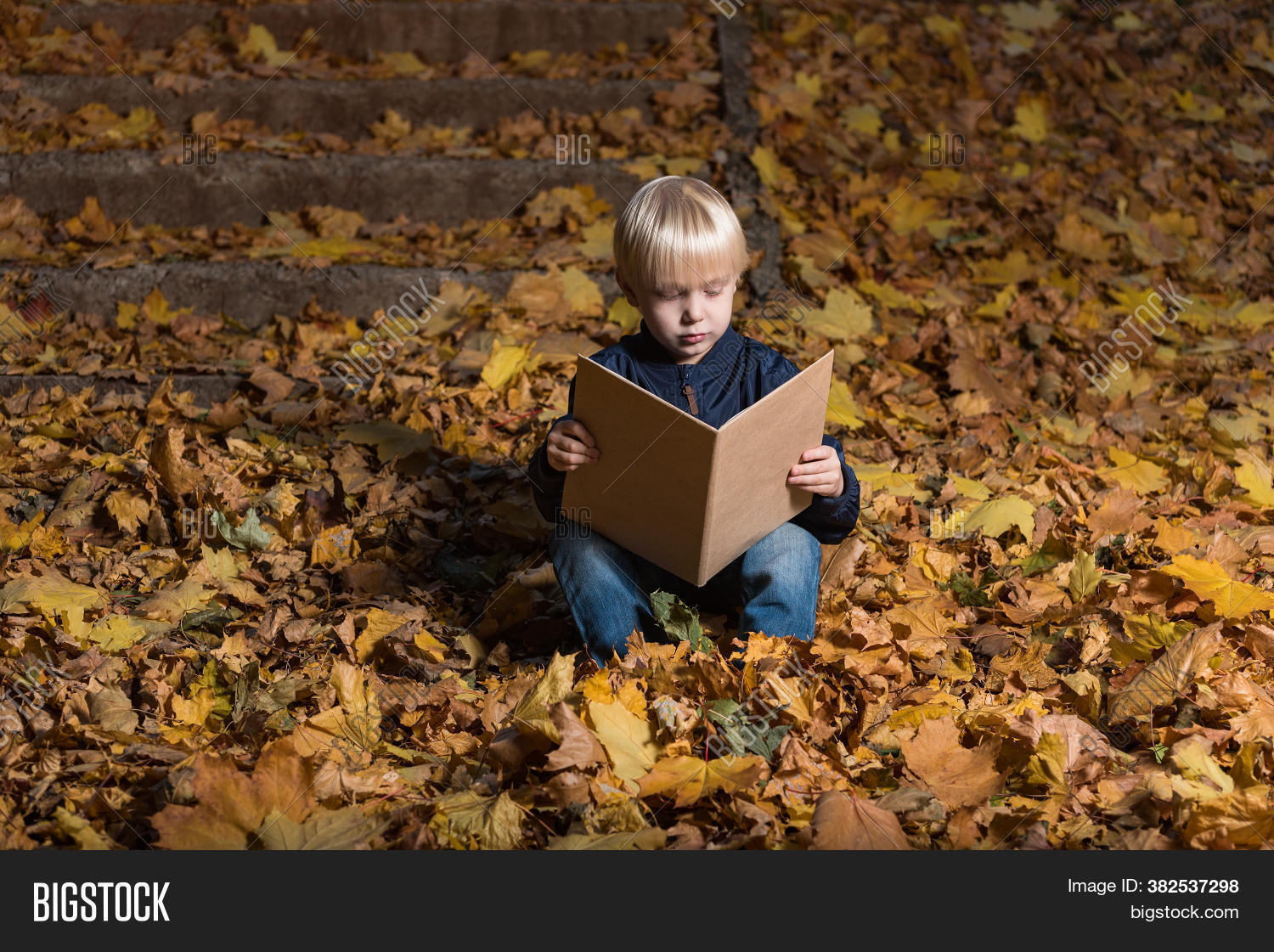 Little Boy Reads Book Image & Photo (Free Trial) | Bigstock