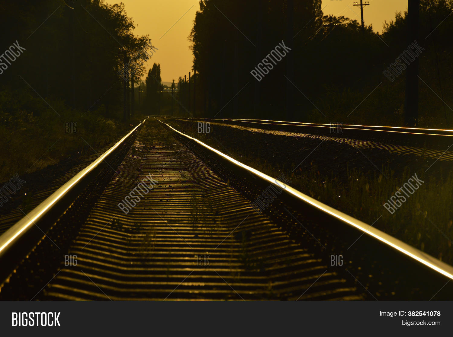 Railway Track Goes Image & Photo (Free Trial) | Bigstock