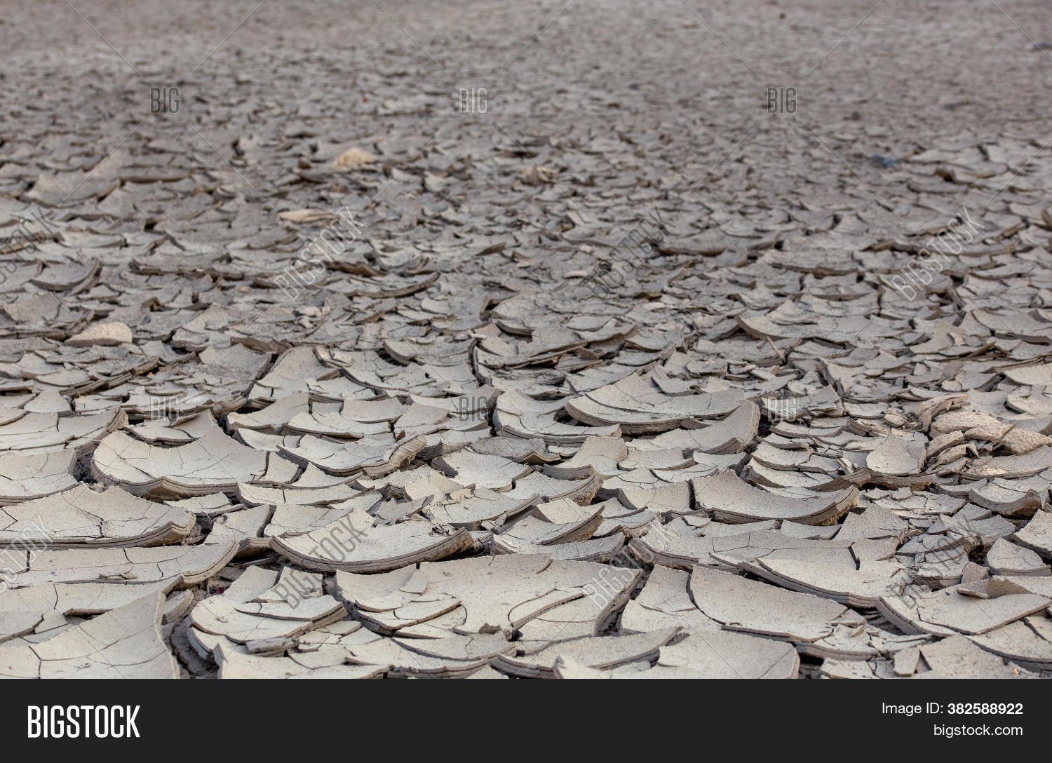 Dry Cracked Mud Desert Image & Photo (Free Trial) | Bigstock