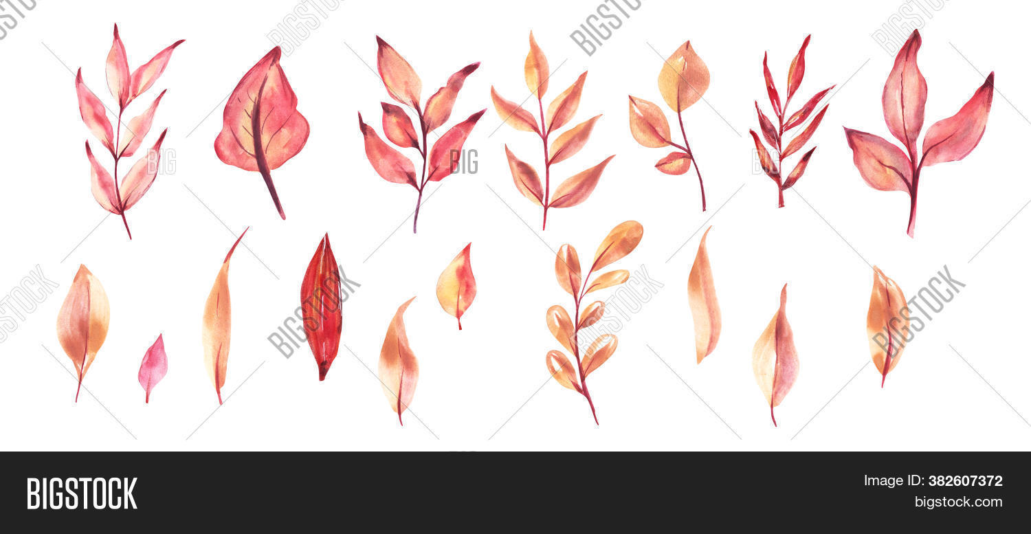 Watercolor Autumn Leaf Image & Photo (Free Trial) | Bigstock