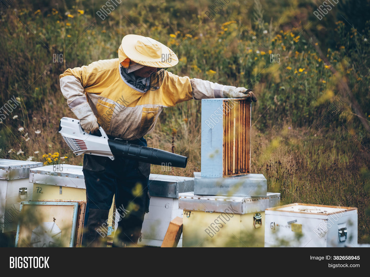Portrait Beekeeper Image & Photo (Free Trial) | Bigstock