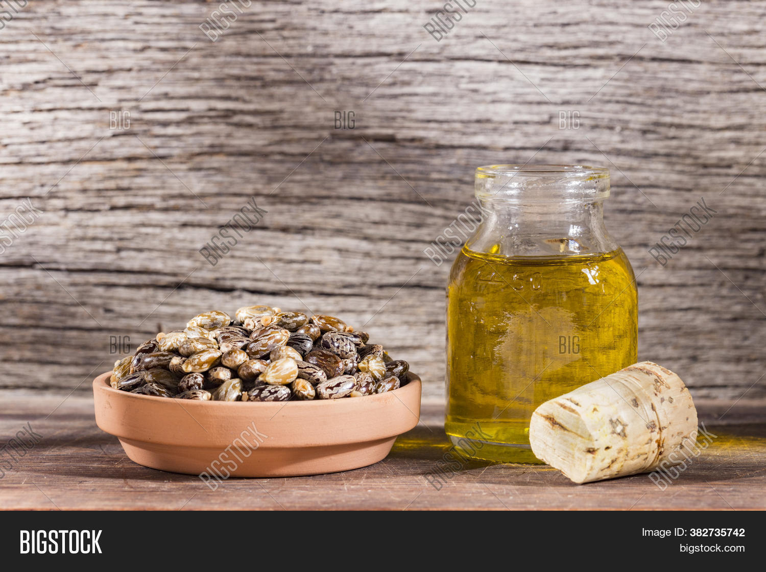 Castor Oil Seeds, On Image & Photo (Free Trial) | Bigstock