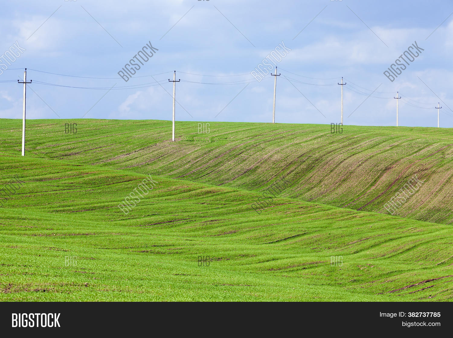 Real Agricultural Image & Photo (Free Trial) | Bigstock