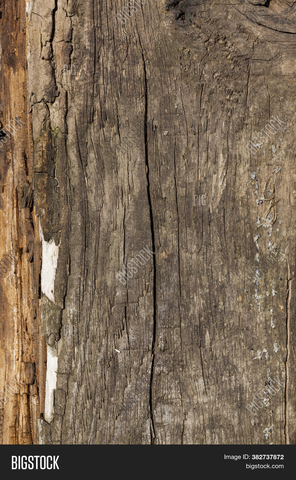 Old Rotting Decaying Image & Photo (Free Trial) | Bigstock