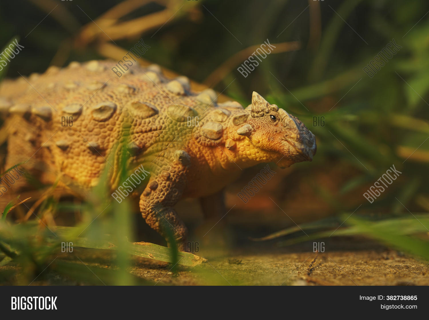 Ankylosaurus Misty Image & Photo (Free Trial) | Bigstock