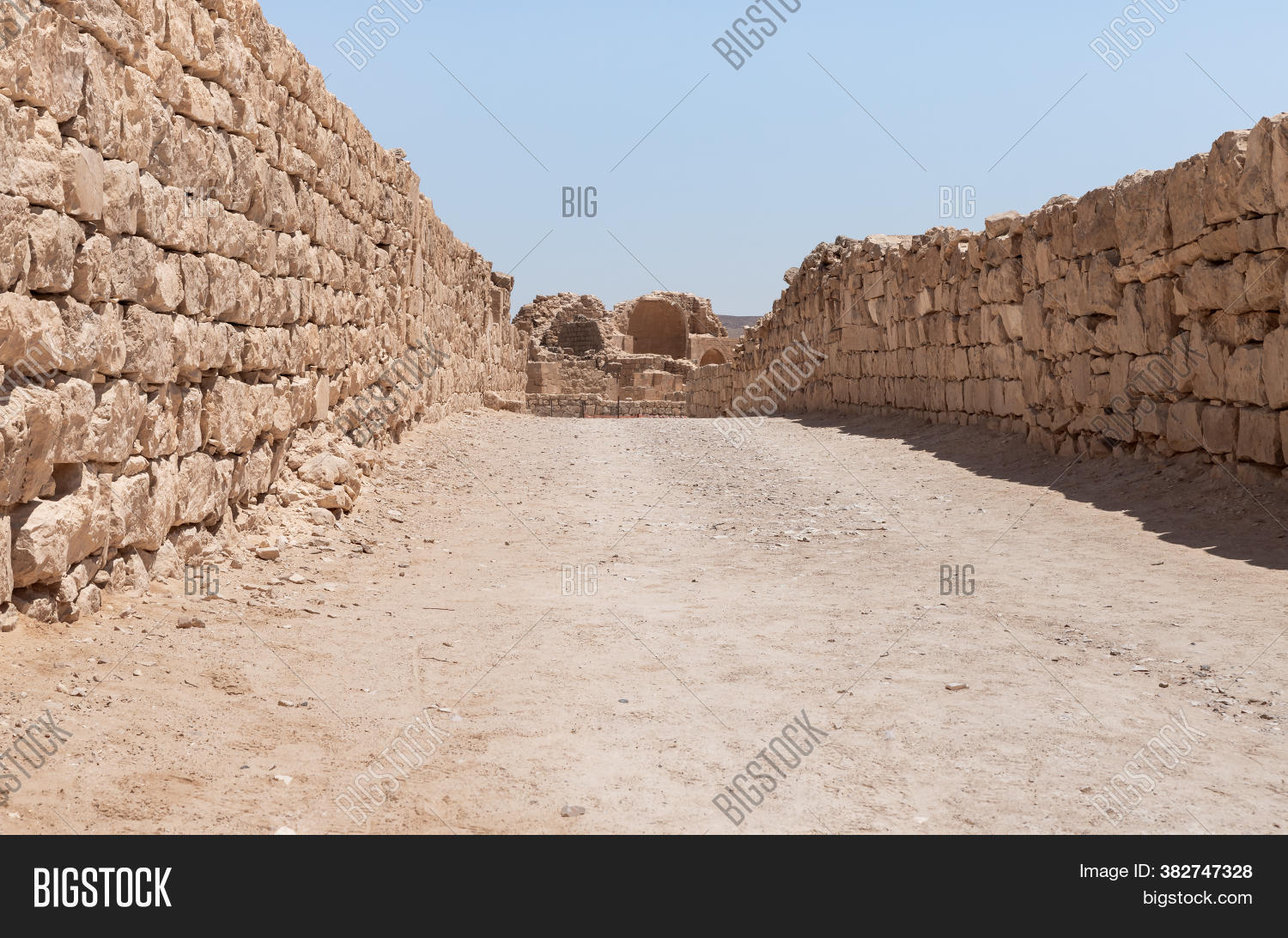 Shivta - National Park Image & Photo (Free Trial) | Bigstock