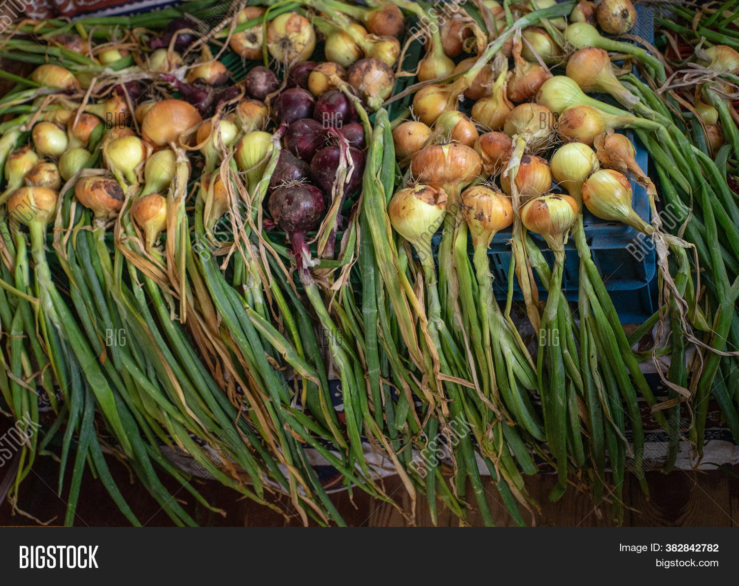Autumn Harvest Image & Photo (Free Trial) | Bigstock