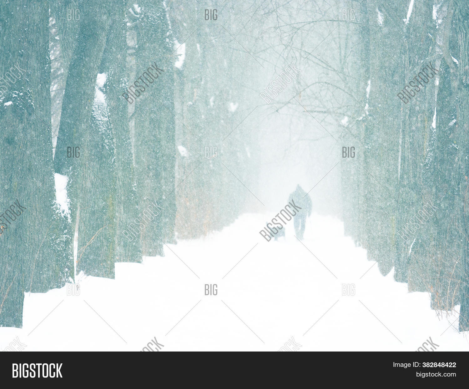Winter Snowfall, Man Image & Photo (Free Trial) | Bigstock
