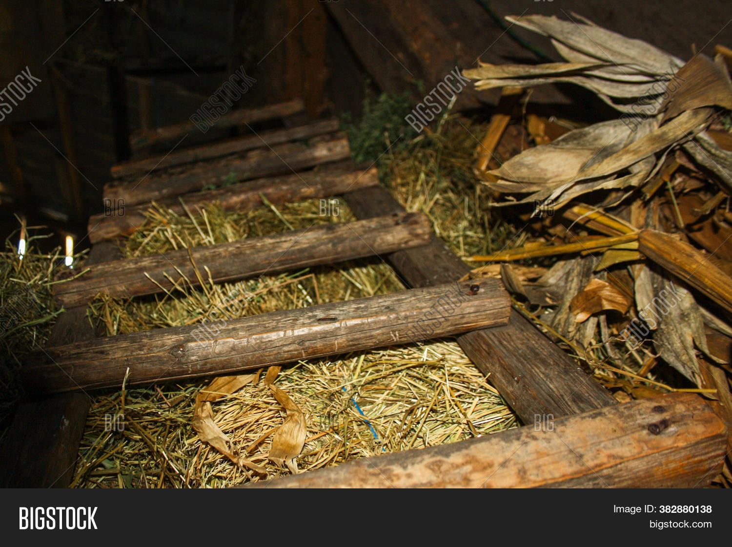 Ladder Going Hay Image & Photo (Free Trial) | Bigstock