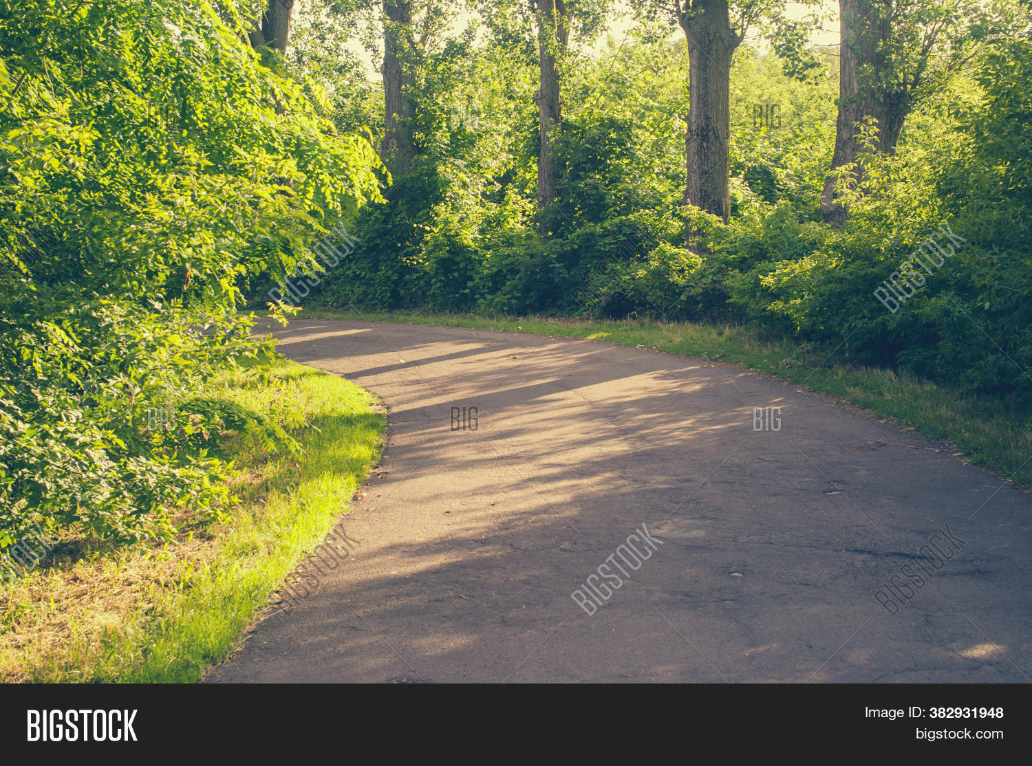 Sharp Turn Road Among Image & Photo (Free Trial) | Bigstock