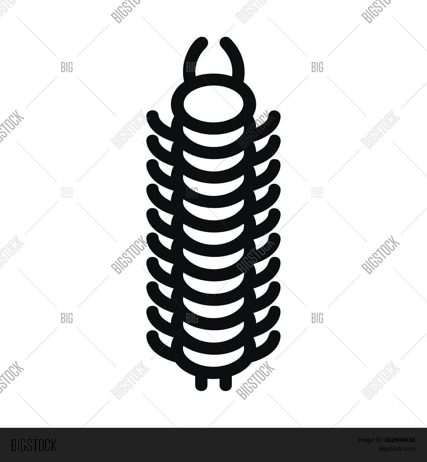 Logo Symbol Centipede Vector & Photo (Free Trial) | Bigstock