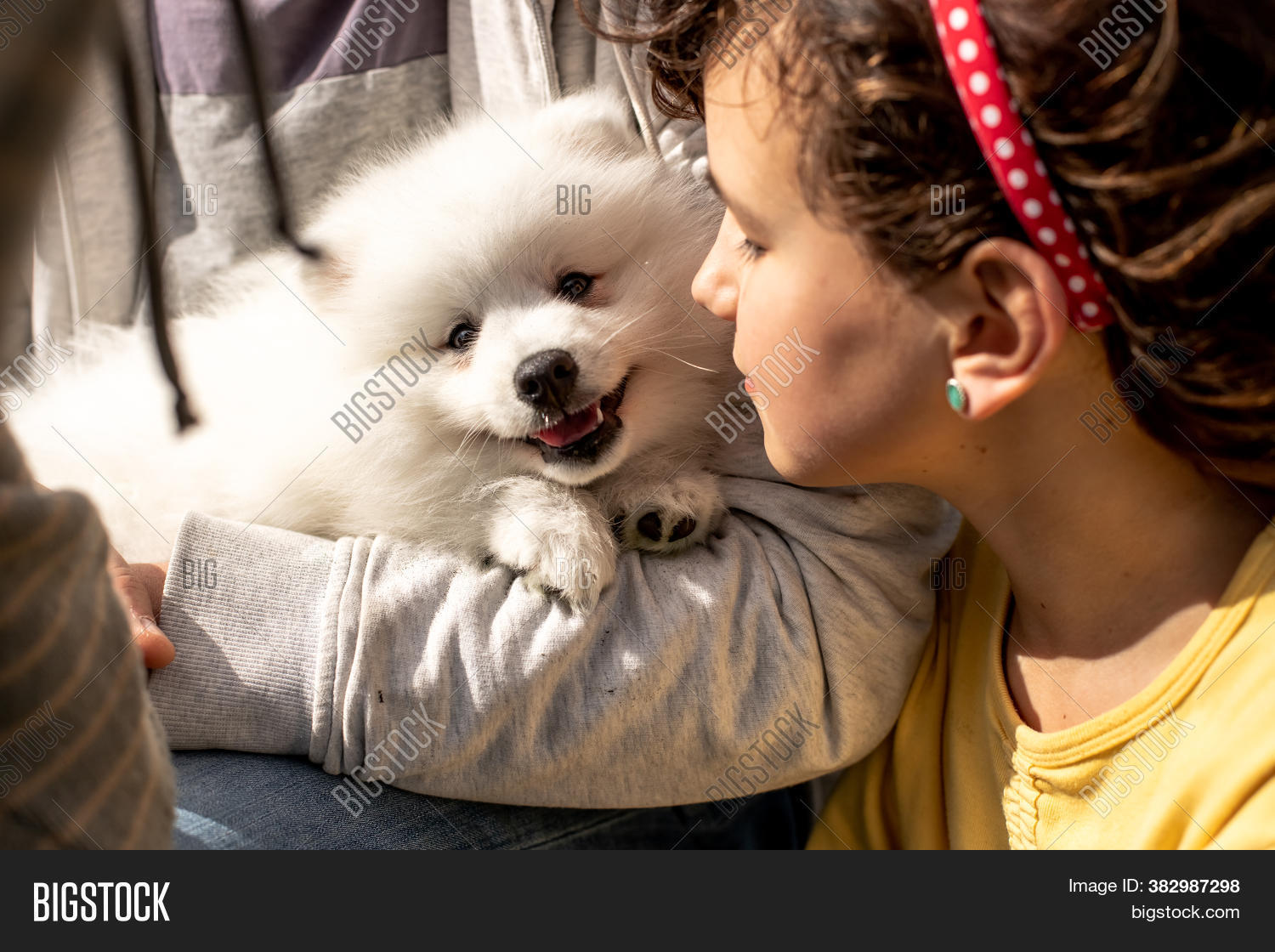 Are Japanese Spitz Safe For Kids
