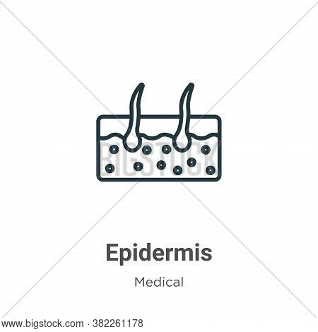 Epidermis Icon Vector & Photo (Free Trial) | Bigstock