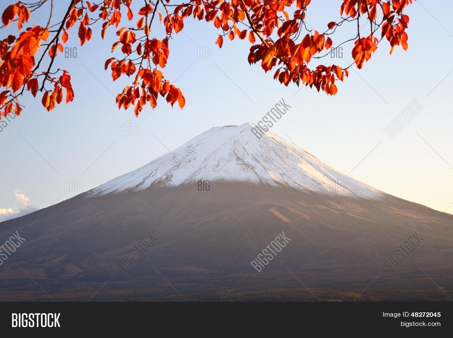 Mt. Fuji Fall Colors Image & Photo (Free Trial) | Bigstock