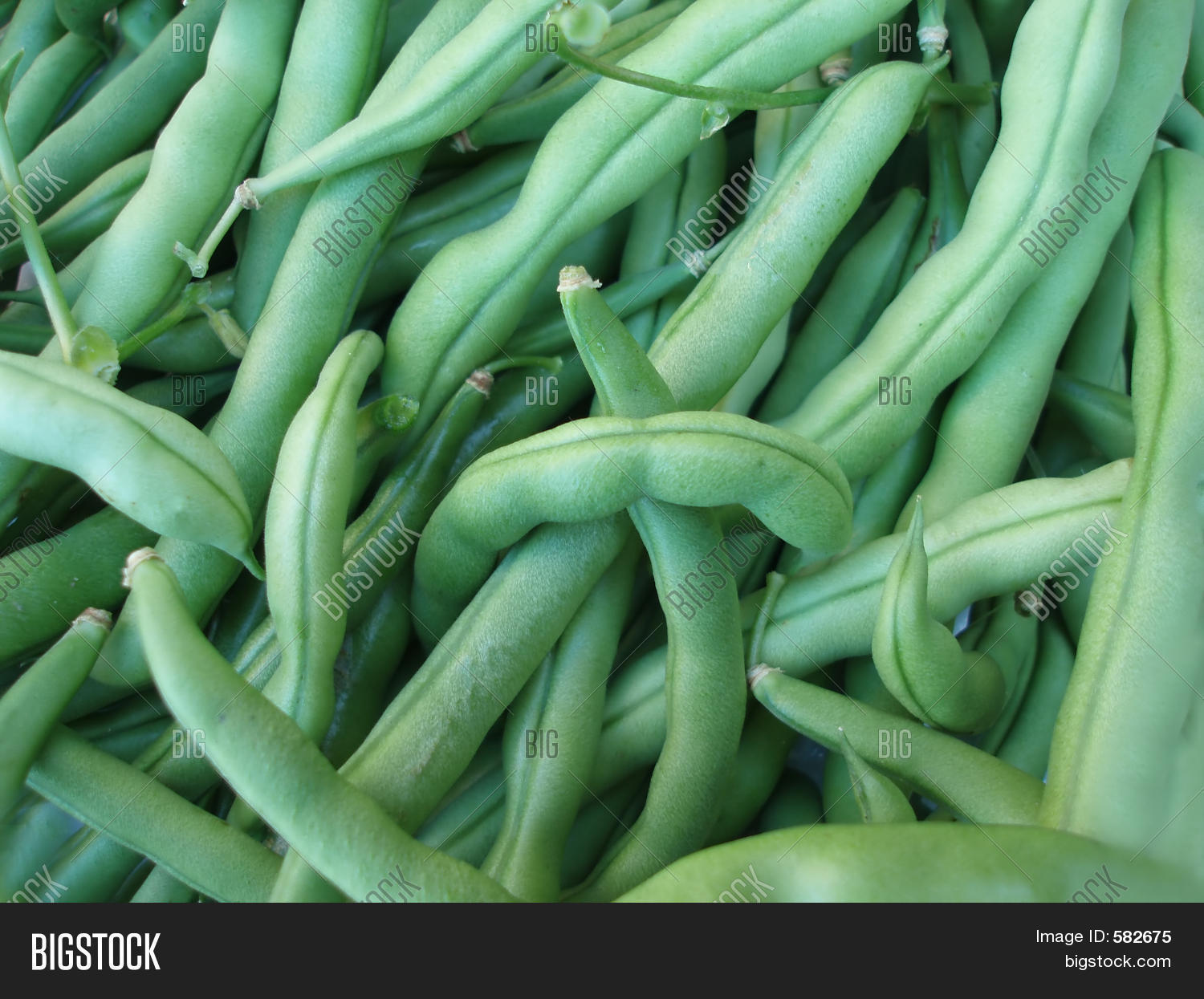 Green Beans Image & Photo (Free Trial) | Bigstock