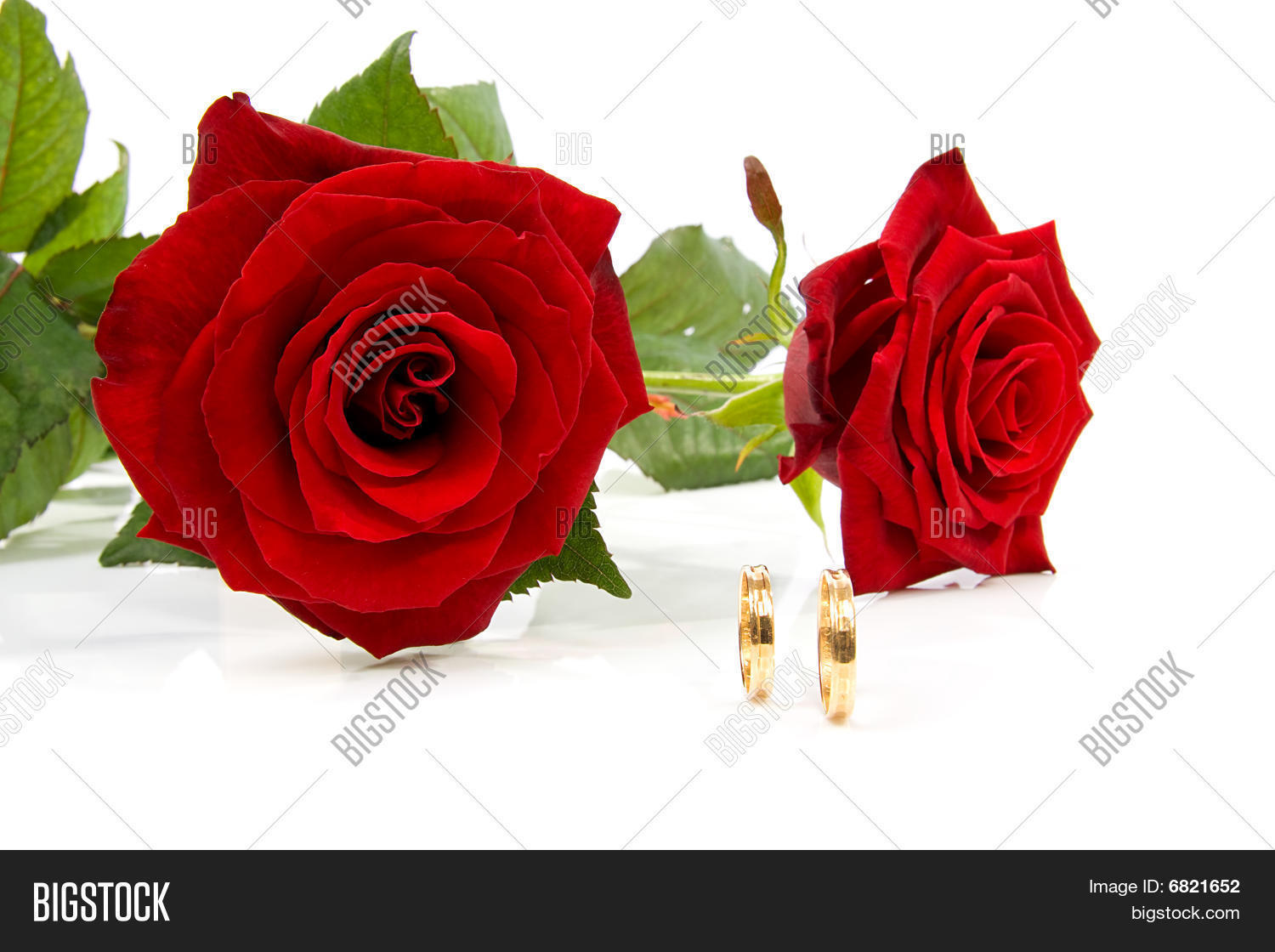 Two Roses Wedding Image & Photo (Free Trial) | Bigstock