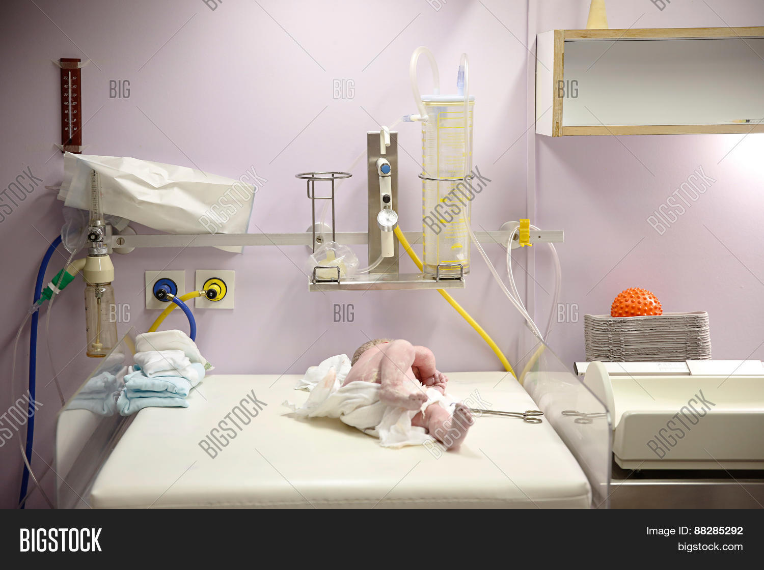 Vernix Covered Newborn Image & Photo (Free Trial) | Bigstock