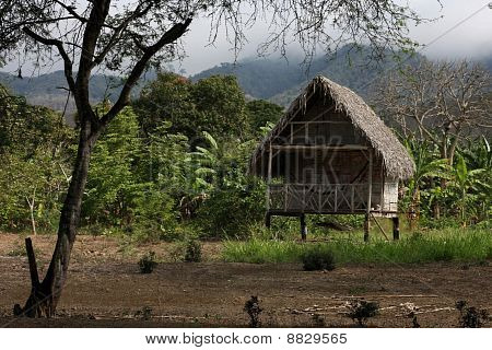 Indian Farm House Image & Photo (Free Trial) | Bigstock