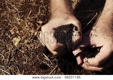Hand Grasping Dry Image & Photo (Free Trial) | Bigstock