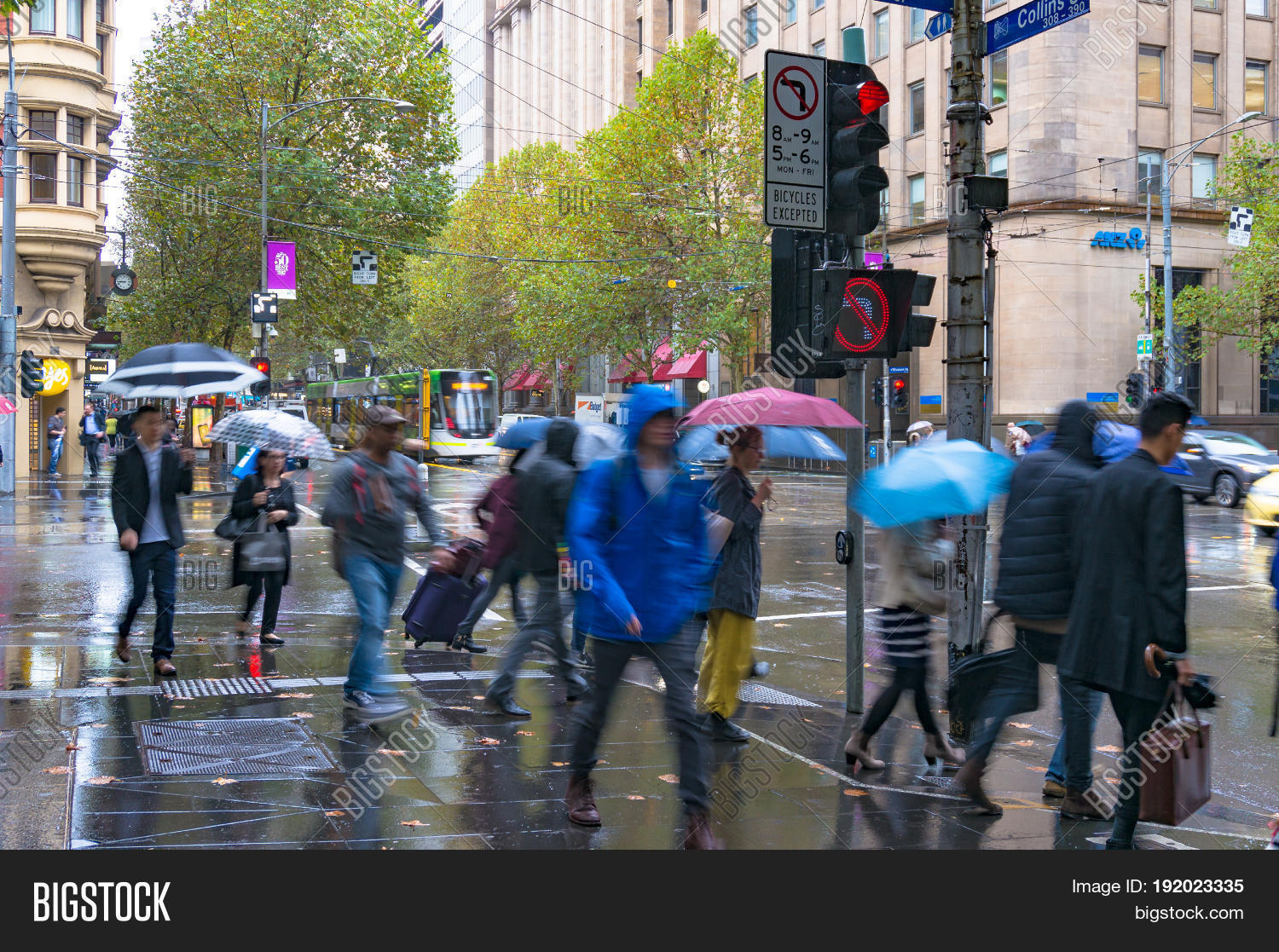 Pedestrians On Traffic Image & Photo (Free Trial) | Bigstock