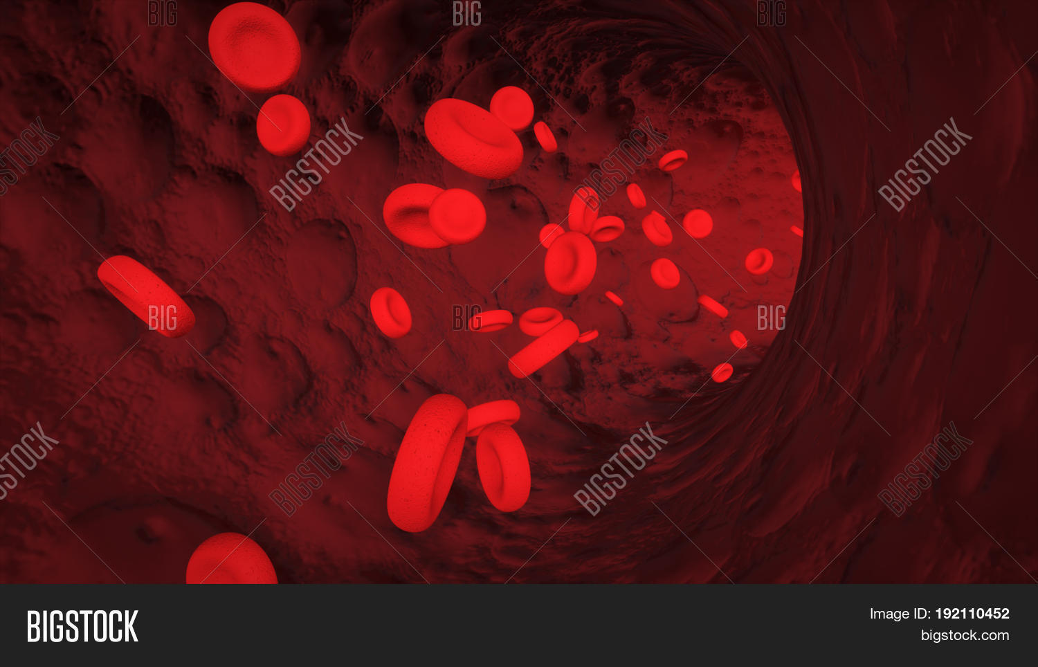 Red Blood Cells Image & Photo (Free Trial) | Bigstock