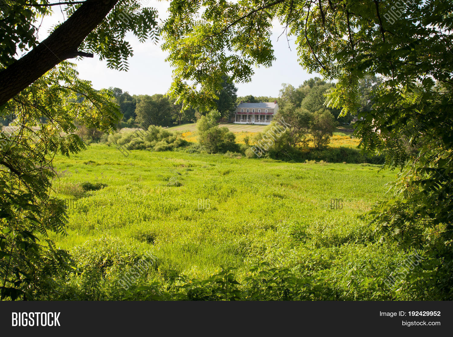 View Green Open Space Image & Photo (Free Trial) | Bigstock