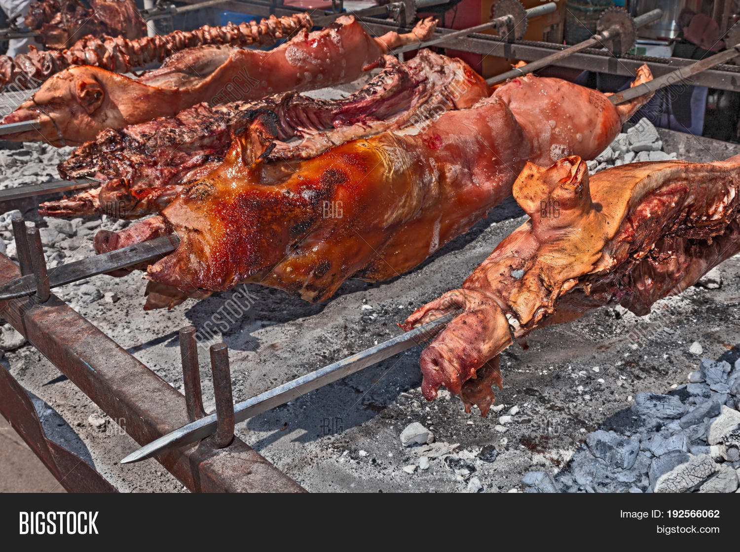 Spit Roasted Whole Pig Image & Photo (Free Trial) | Bigstock