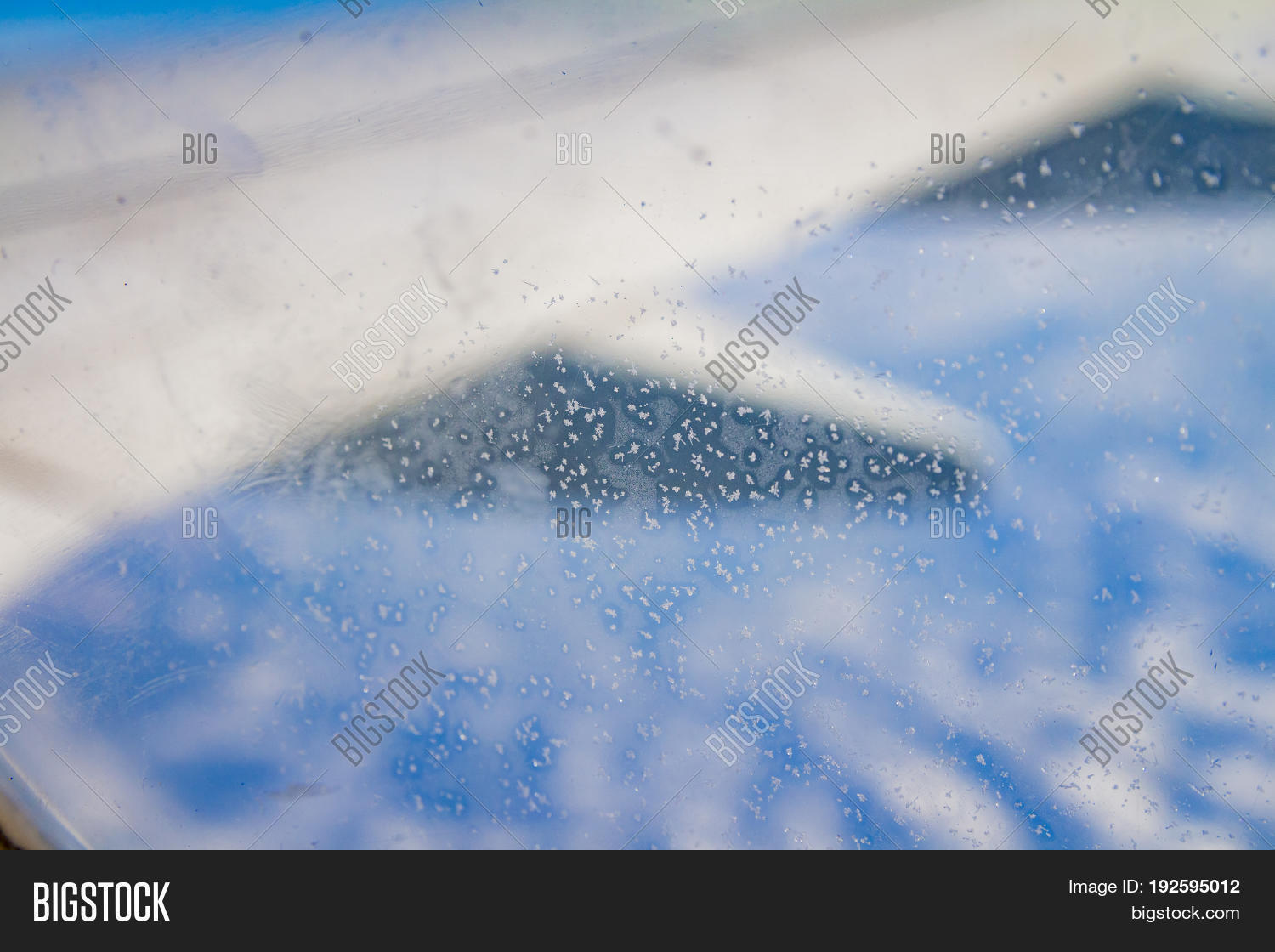 Frozen Condensation Image & Photo (Free Trial) | Bigstock