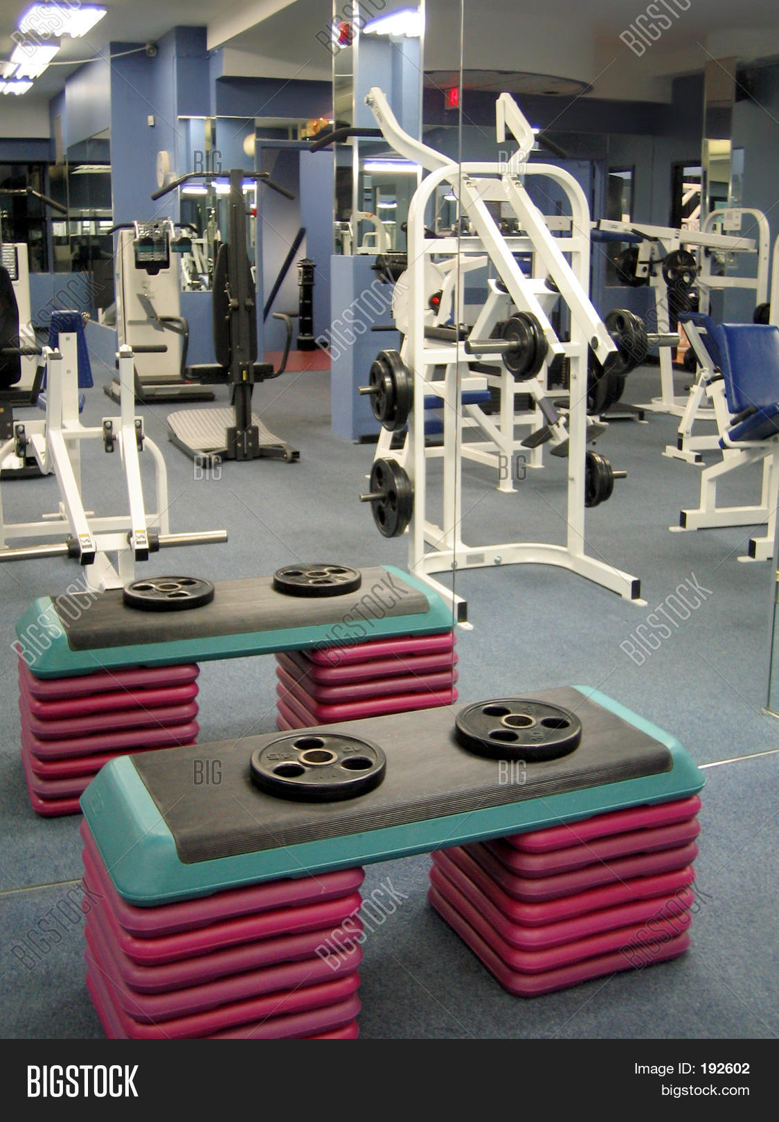 Gym Equipment Image & Photo (Free Trial) | Bigstock