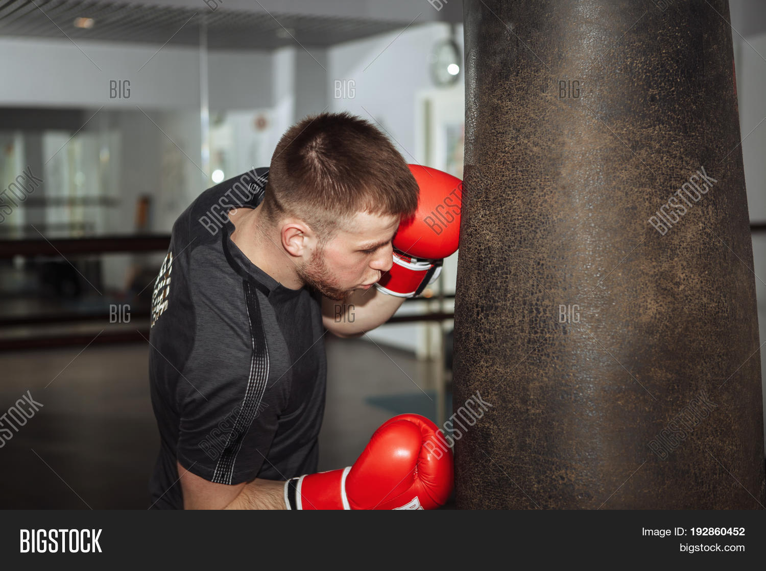 Young Man Boxing Hall Image & Photo (Free Trial) | Bigstock