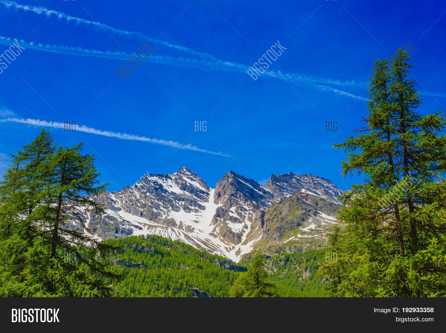 Beginning Summer Image & Photo (Free Trial) | Bigstock