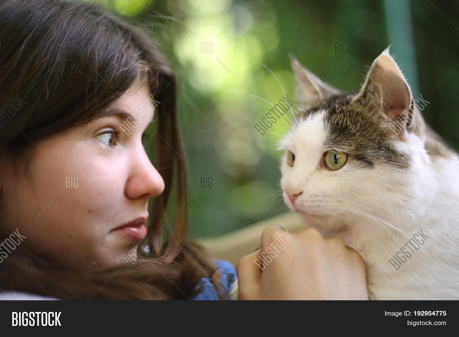 Teen Girl Hug Cat Image & Photo (Free Trial) | Bigstock
