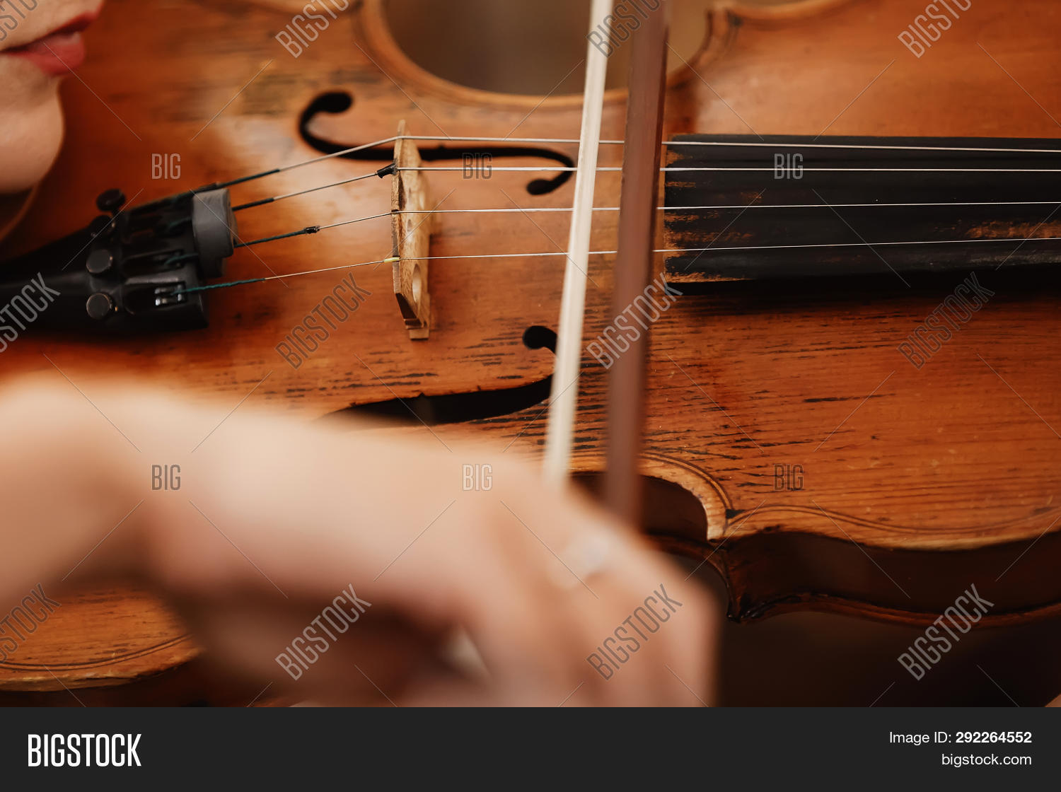 Close- Violin Bow. Image & Photo (Free Trial) | Bigstock