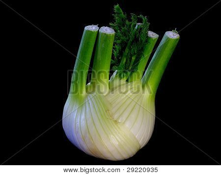 Fannel Image & Photo (Free Trial) | Bigstock