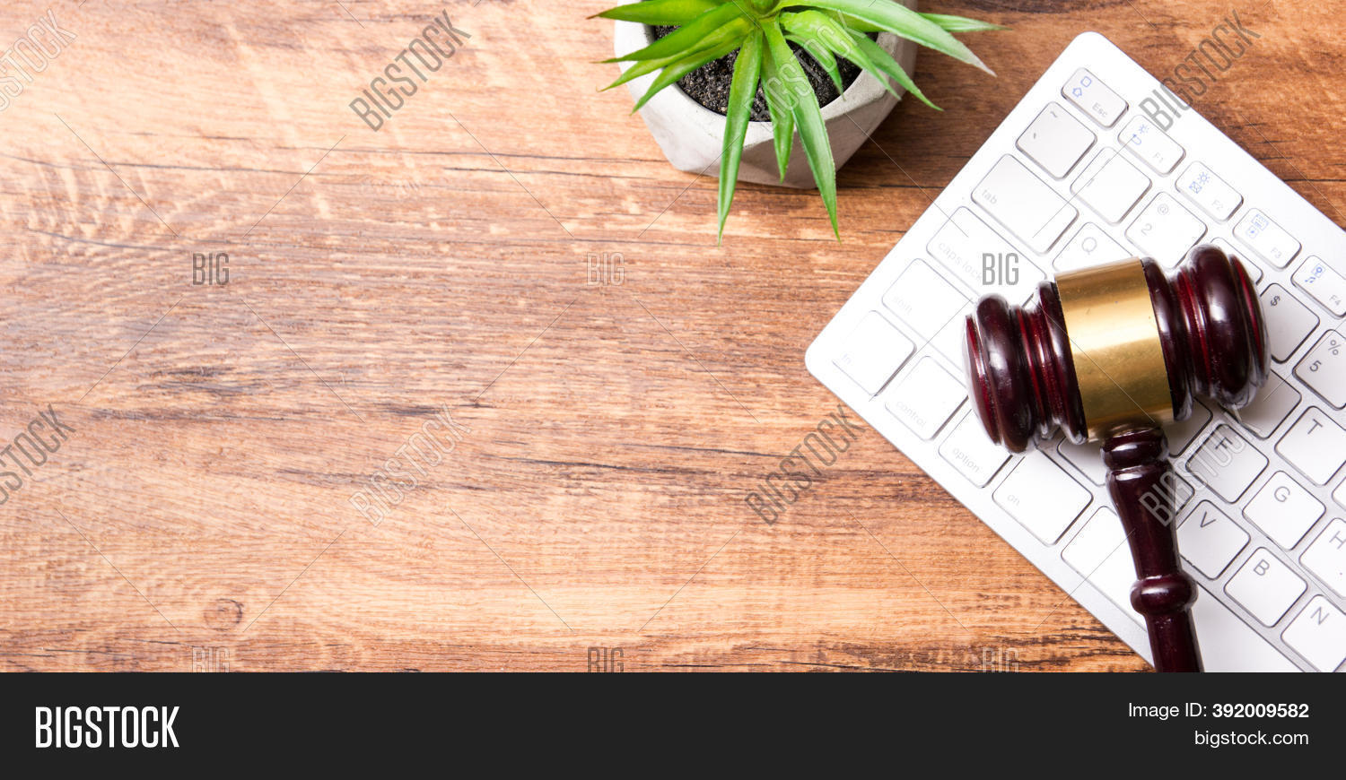 Law Concept - Open Law Image & Photo (Free Trial) | Bigstock