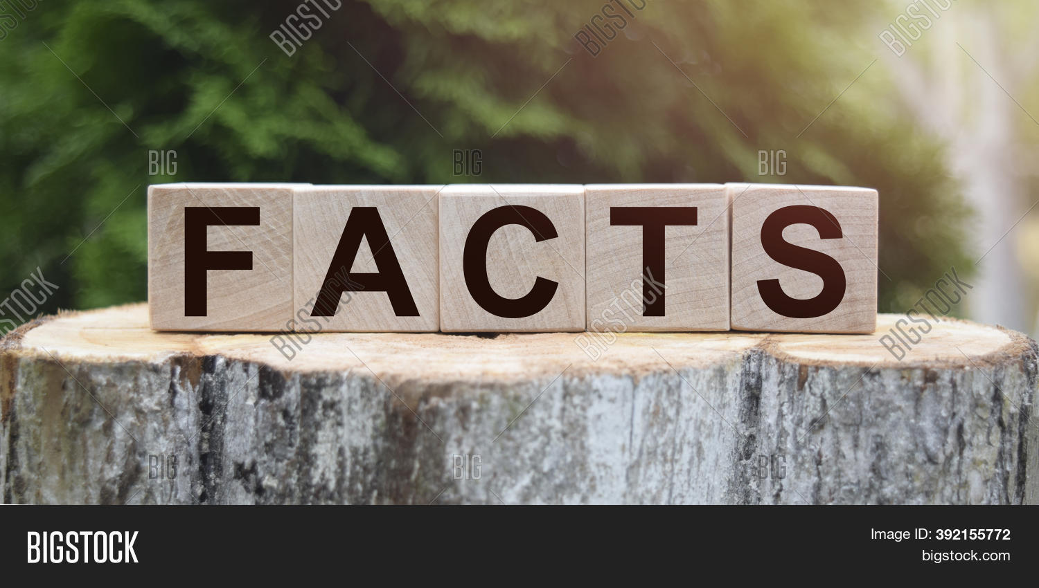 Word Facts Written On Image & Photo (Free Trial) | Bigstock