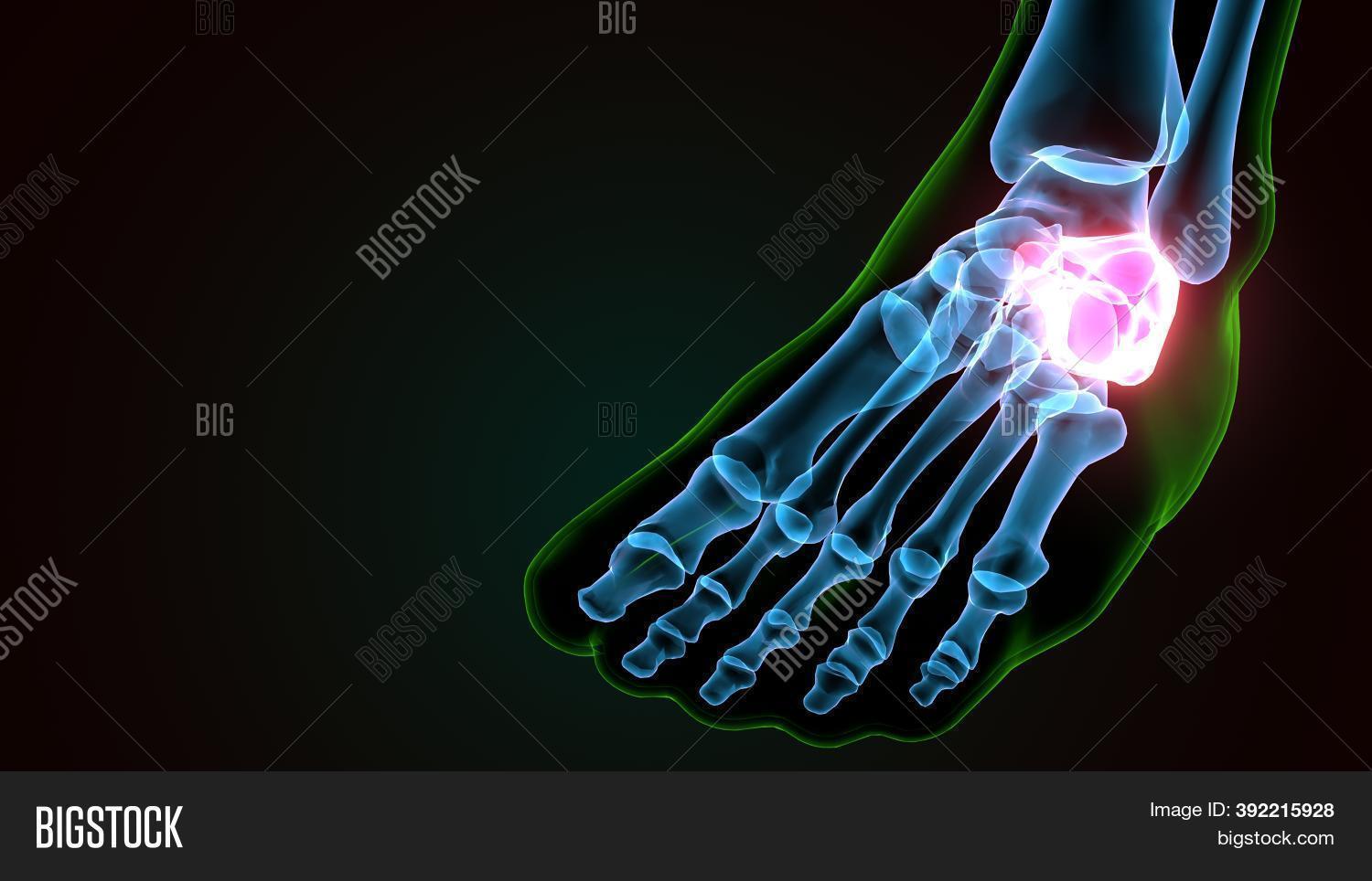 3d Illustration Human Image & Photo (Free Trial) | Bigstock