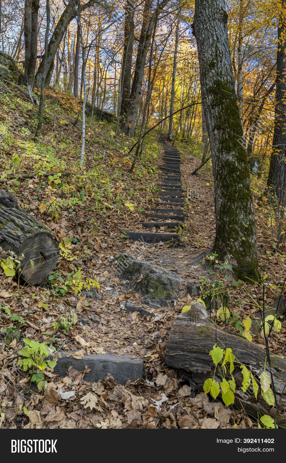 Hiking Trail Hill Image & Photo (Free Trial) | Bigstock