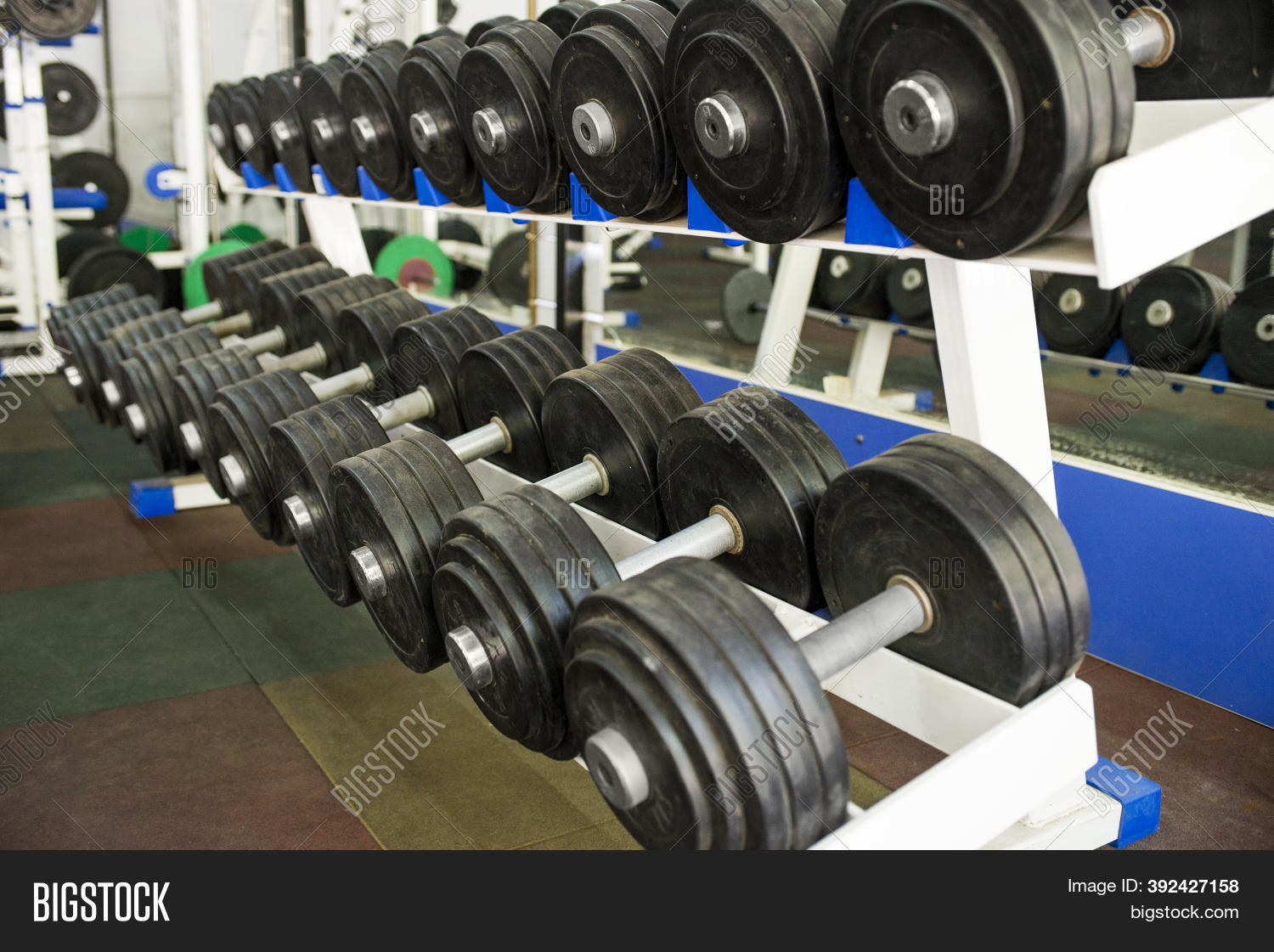 Rows Dumbbells Gym. Image & Photo (Free Trial) | Bigstock