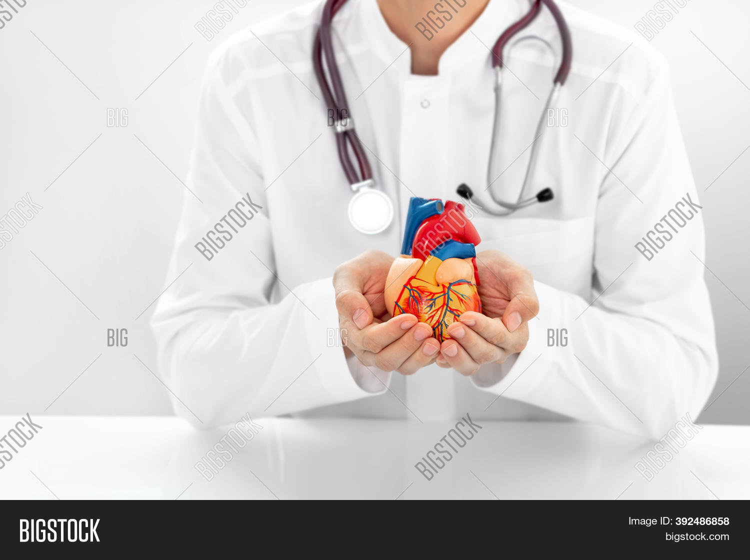 Cardiologist Image & Photo (Free Trial) | Bigstock