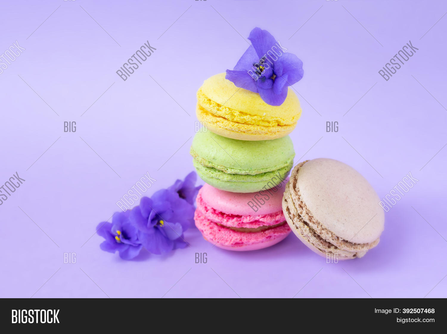 Colorful Macaroons Image & Photo (Free Trial) | Bigstock