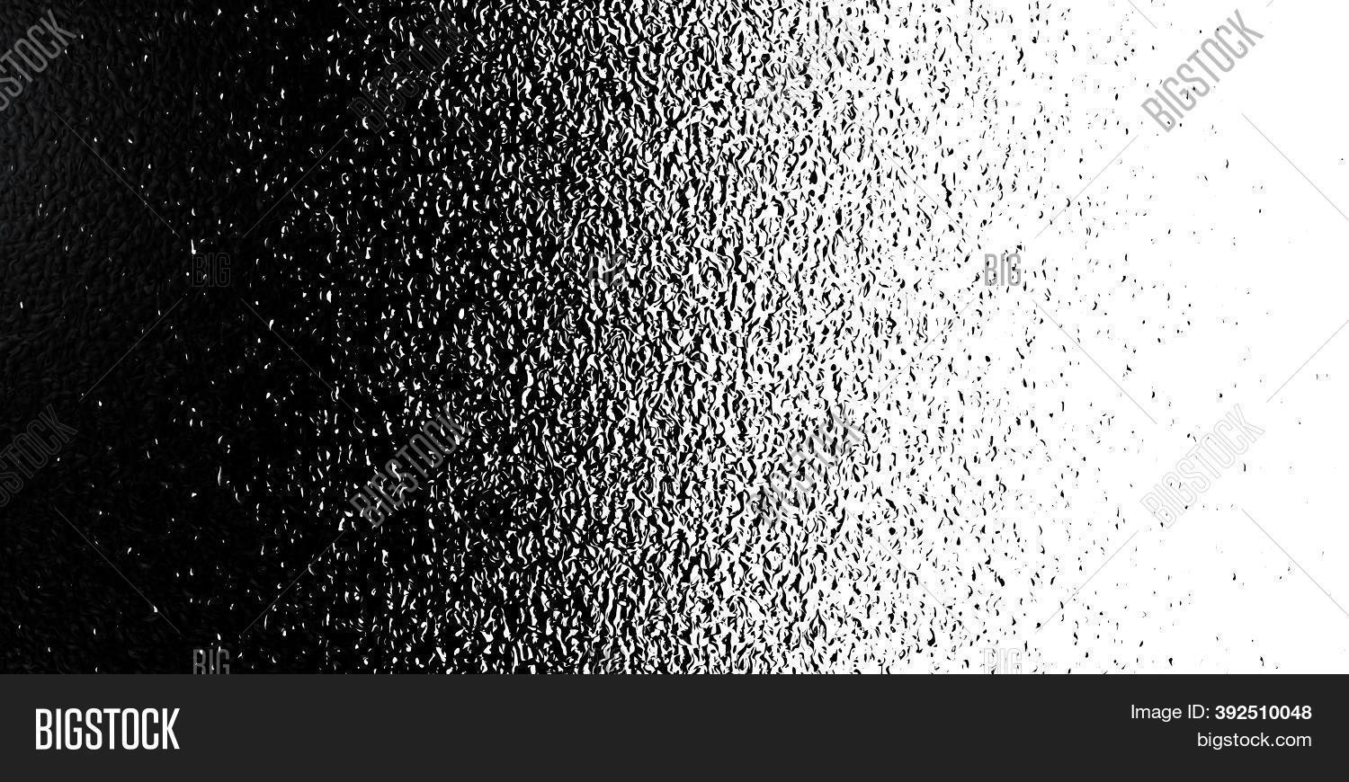 Black On White Image & Photo (Free Trial) | Bigstock