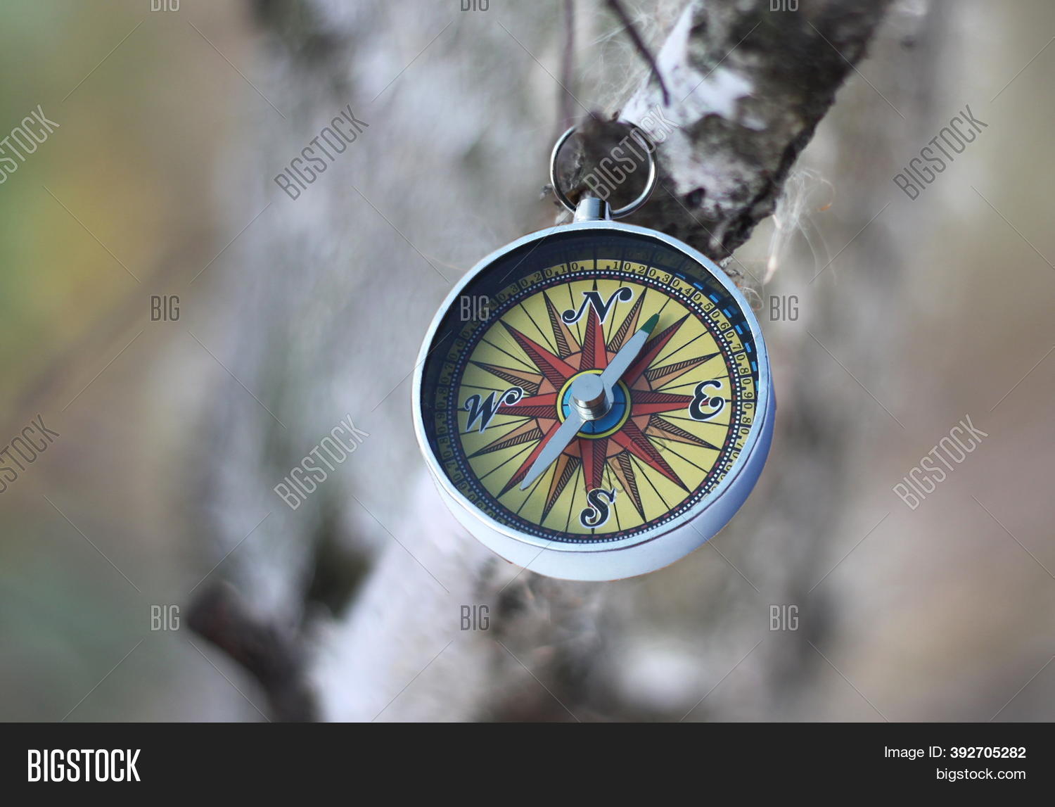 Classic Navigation Image & Photo (Free Trial) | Bigstock