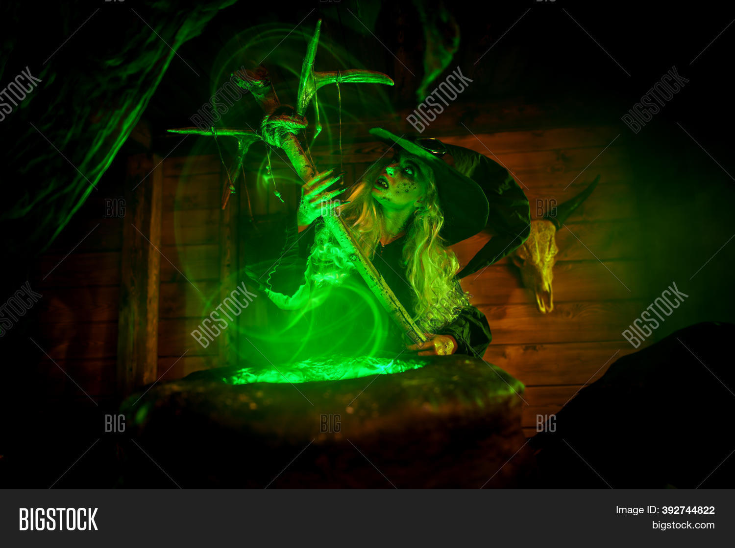 Horrible Old Witch Image & Photo (Free Trial) | Bigstock