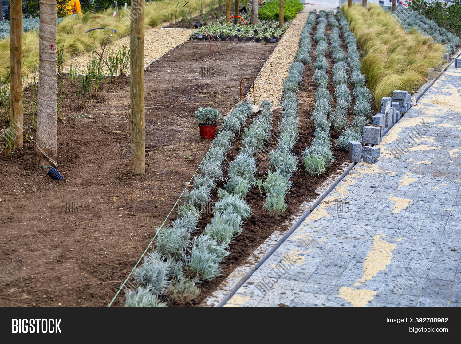 Installing Flower Beds Image & Photo (Free Trial) | Bigstock