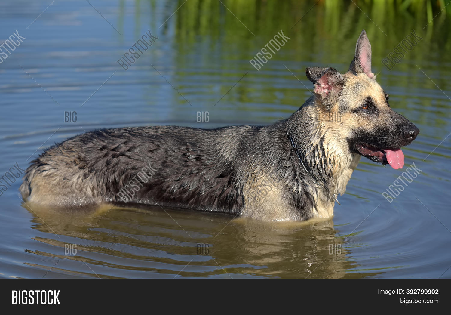 Eastern European Image & Photo (Free Trial) | Bigstock